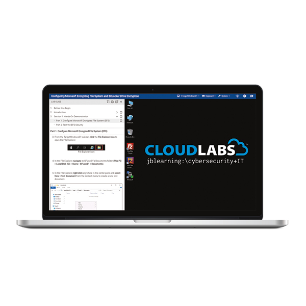 Databases Illuminated with Cloud Labs: 9781284254945