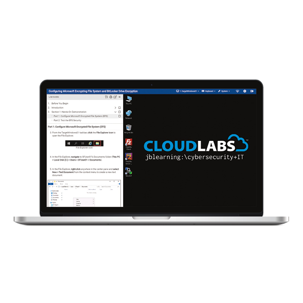 Cloud Labs for Elementary Information Security: 9781284282818