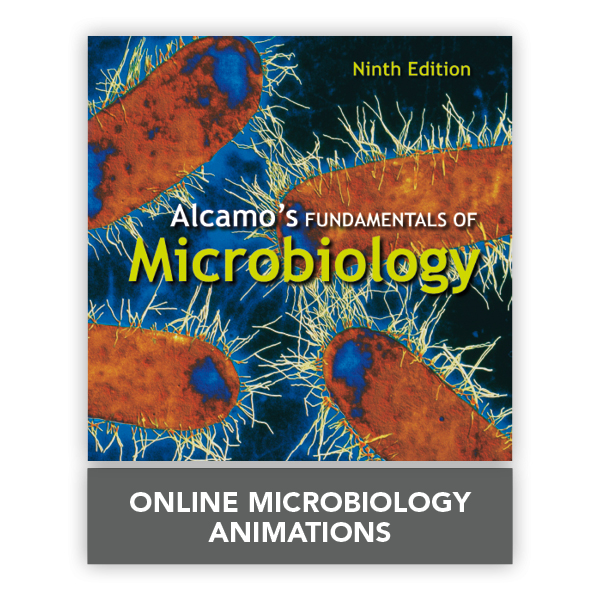 Interactive Microbiology Animations